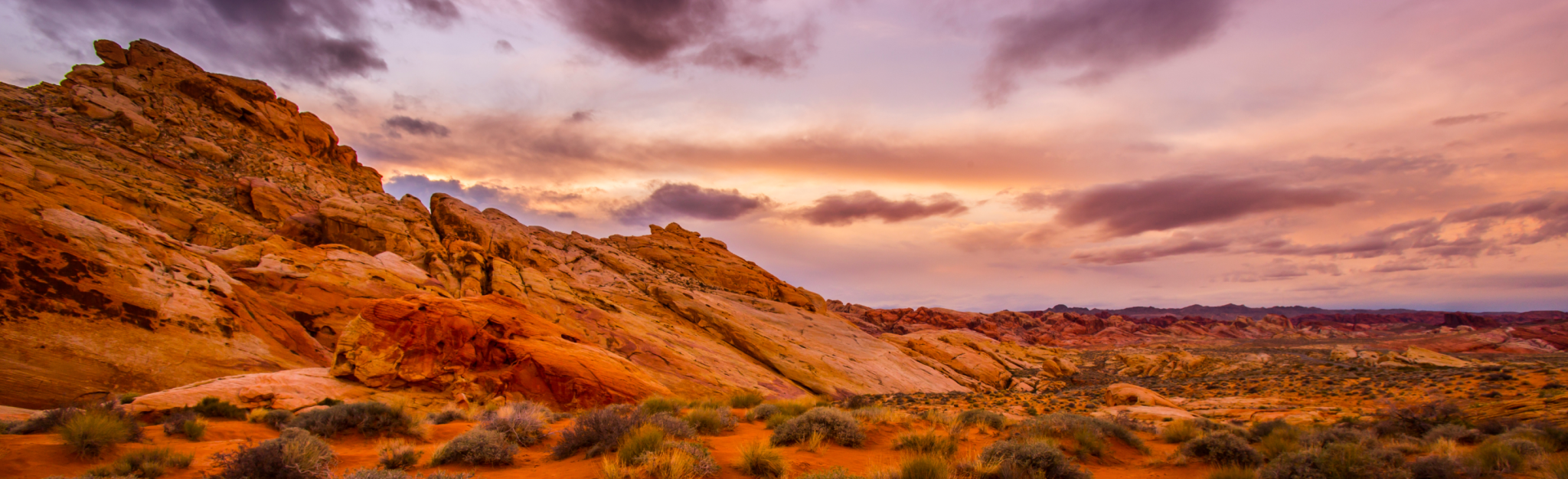 BUSINESSES DEVELOPMENT RESOURCES | Governor's Office of Economic ...